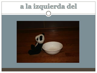 Dónde está el oso | PPTX | South America Travel | Travel Locations