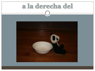 Dónde está el oso | PPTX | South America Travel | Travel Locations