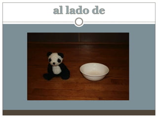 Dónde está el oso | PPTX | South America Travel | Travel Locations