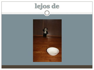 Dónde está el oso | PPTX | South America Travel | Travel Locations