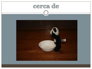 Dónde está el oso | PPTX | South America Travel | Travel Locations