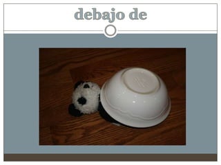 Dónde está el oso | PPTX | South America Travel | Travel Locations