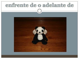 Dónde está el oso | PPTX | South America Travel | Travel Locations