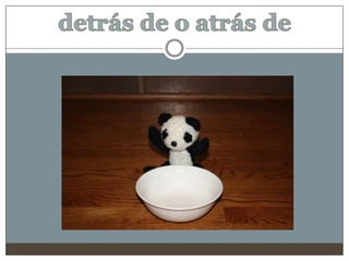 Dónde está el oso | PPTX | South America Travel | Travel Locations