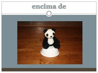 Dónde está el oso | PPTX | South America Travel | Travel Locations