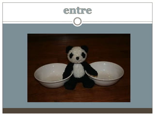 Dónde está el oso | PPTX | South America Travel | Travel Locations