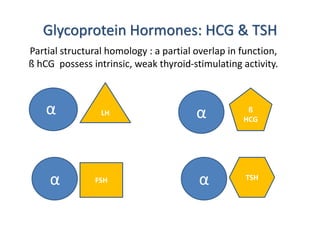 Dn gthyroid clinical cases | PDF
