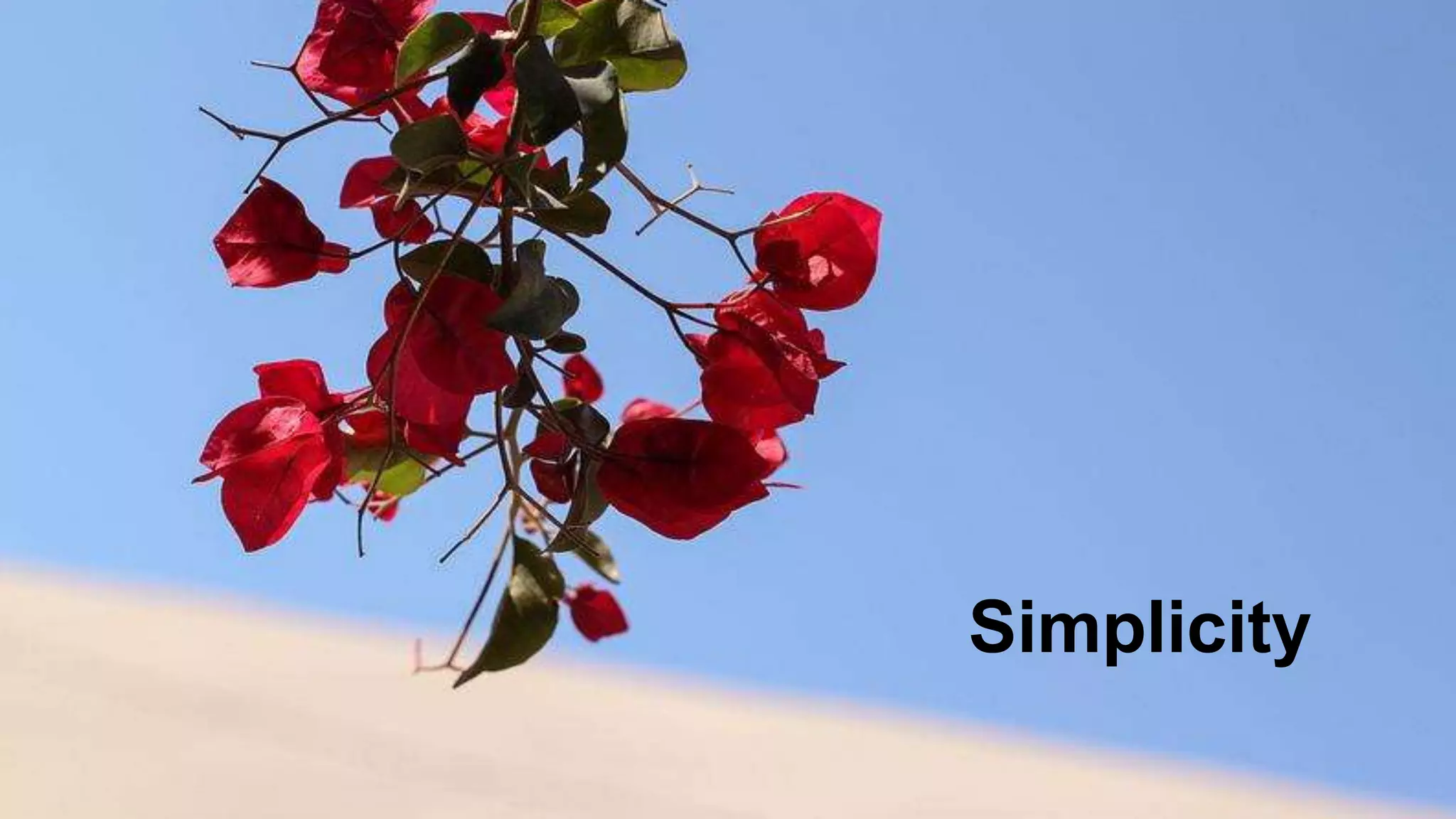 Photo composition rules | PPTX