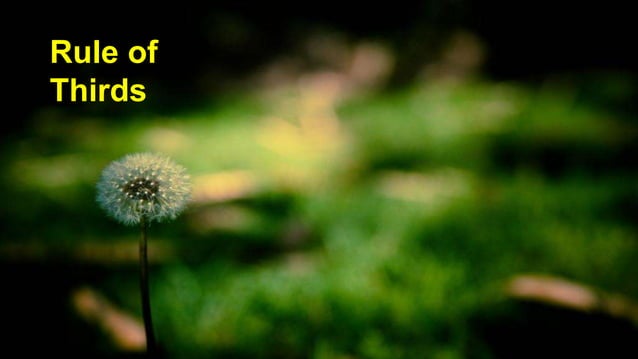 Photo composition rules | PPTX