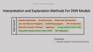 DNN Model Interpretability | PPT