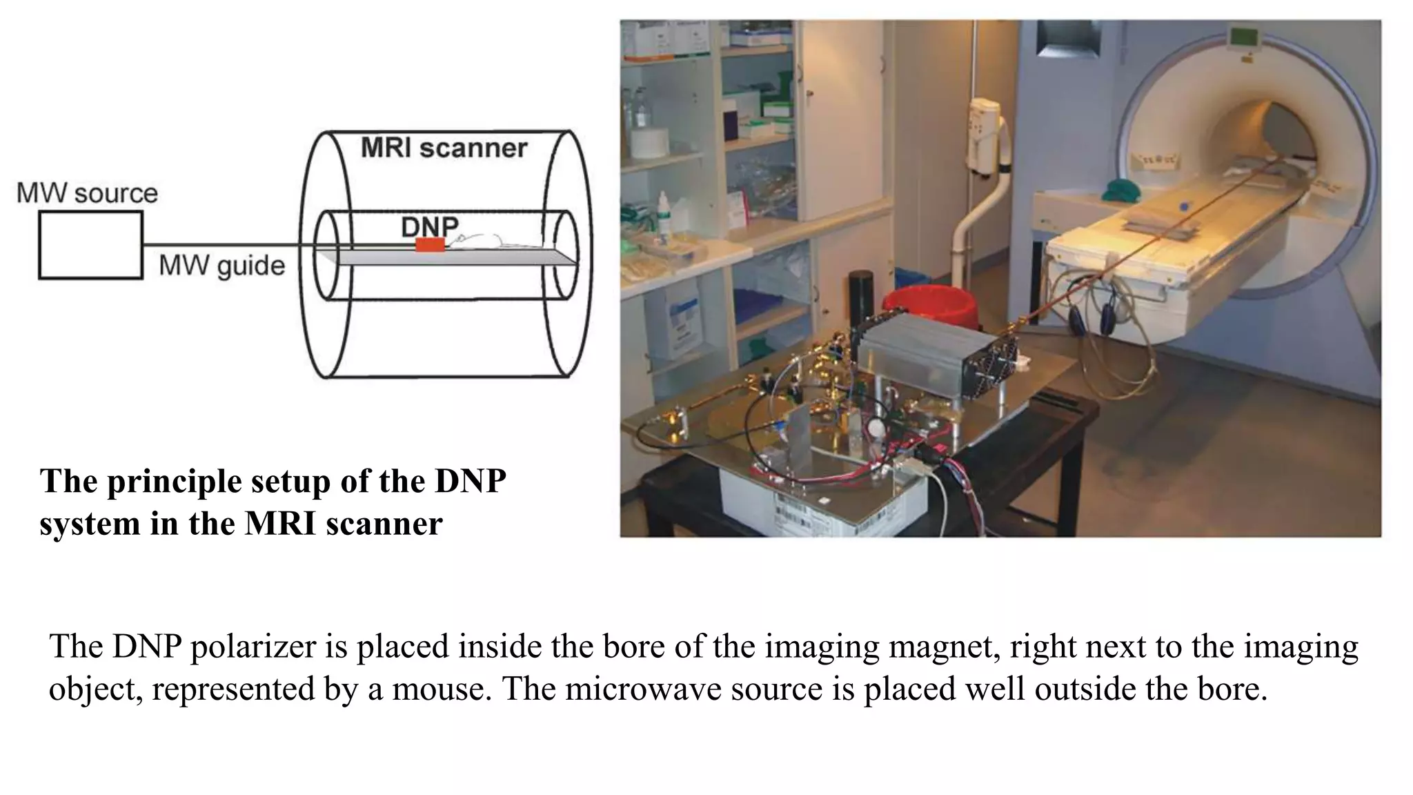 Dynamic Nuclear Polarization Imaging | PPTX