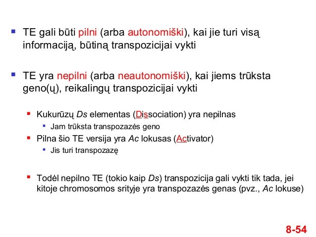 DNR reparacija, rekombinacija, transpozicija