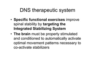 DNS rehabilitation Concept | PDF