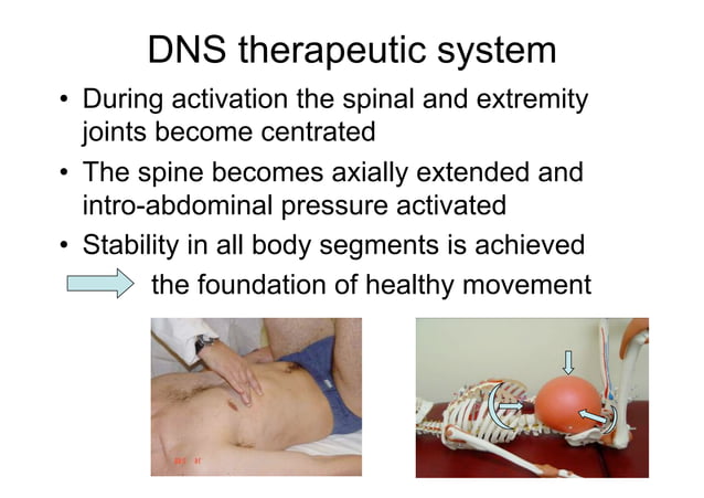 DNS rehabilitation Concept | PDF