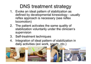 DNS rehabilitation Concept | PDF