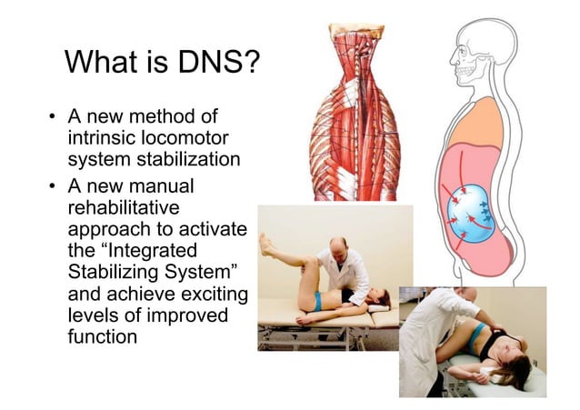 DNS rehabilitation Concept | PDF