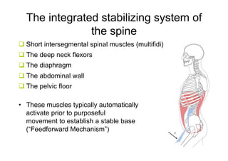 DNS rehabilitation Concept | PDF
