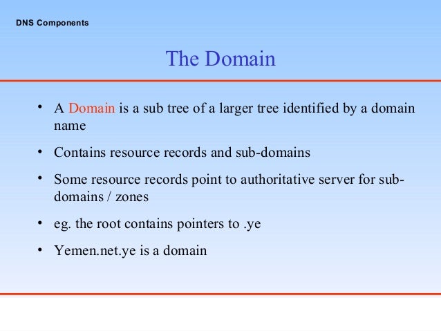 Domain Name System