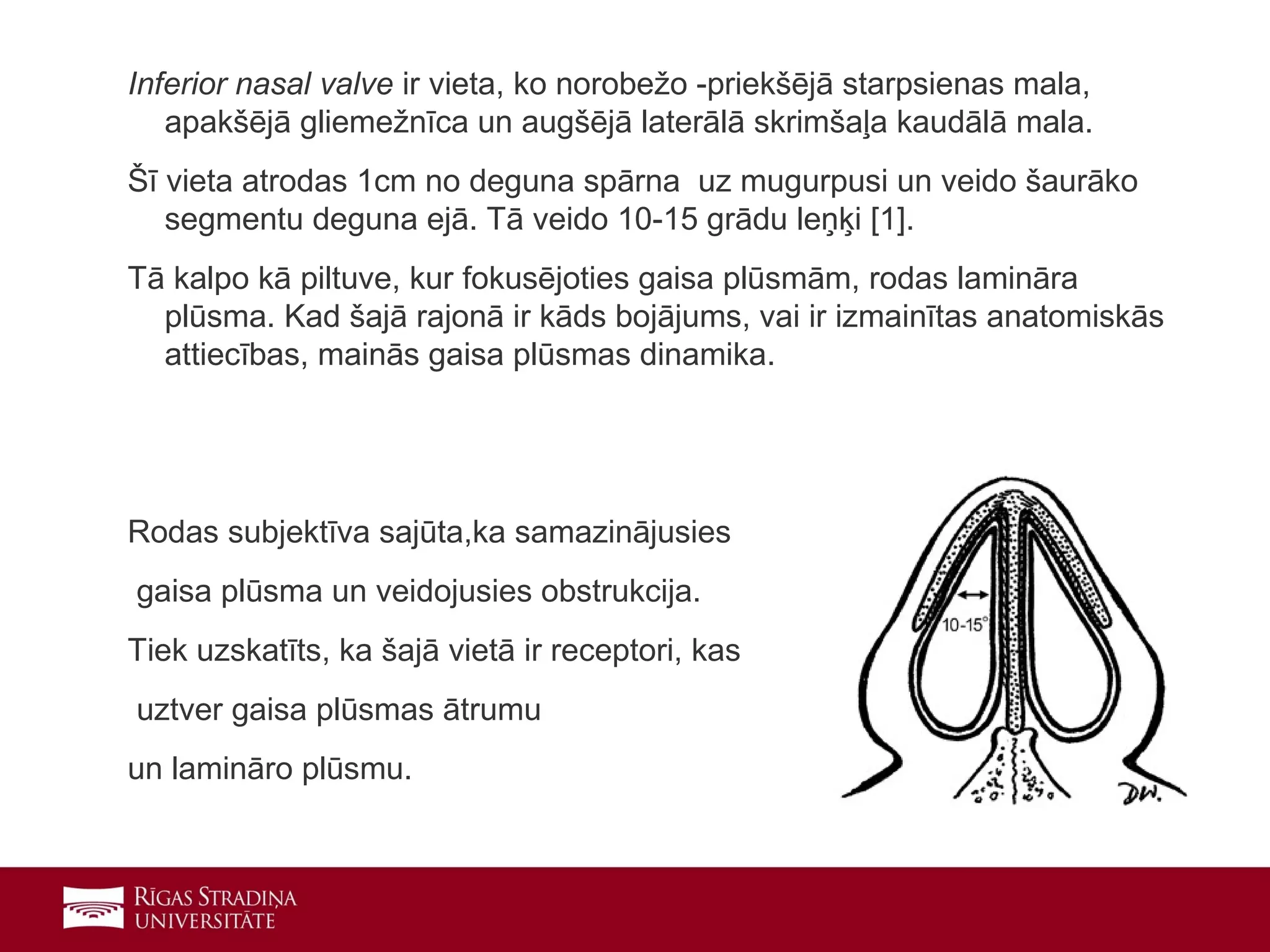 Deguna starpsienas deviācija | PPT