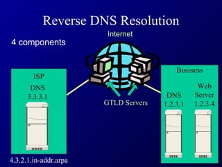 DNS resolution | PPT