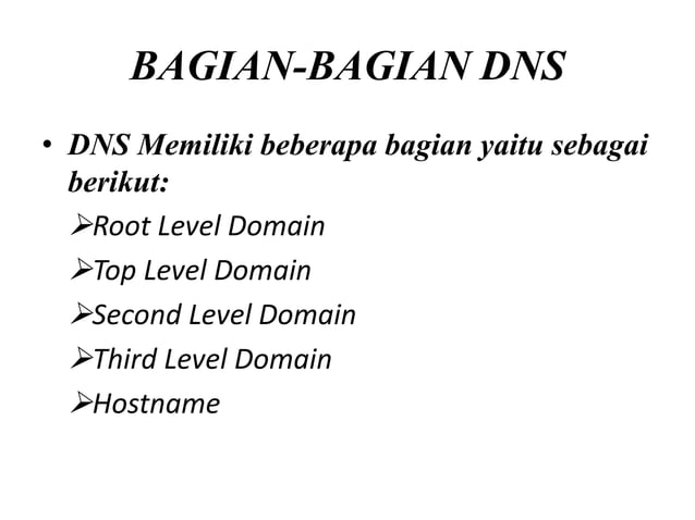 DNS PPT Nurul.pptx