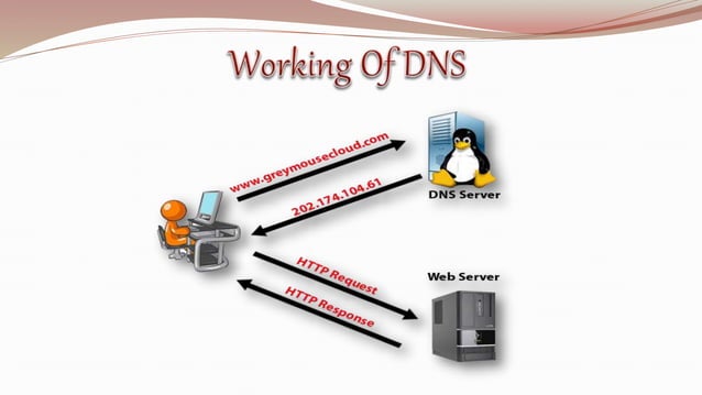 Domain name system presentation | PPTX