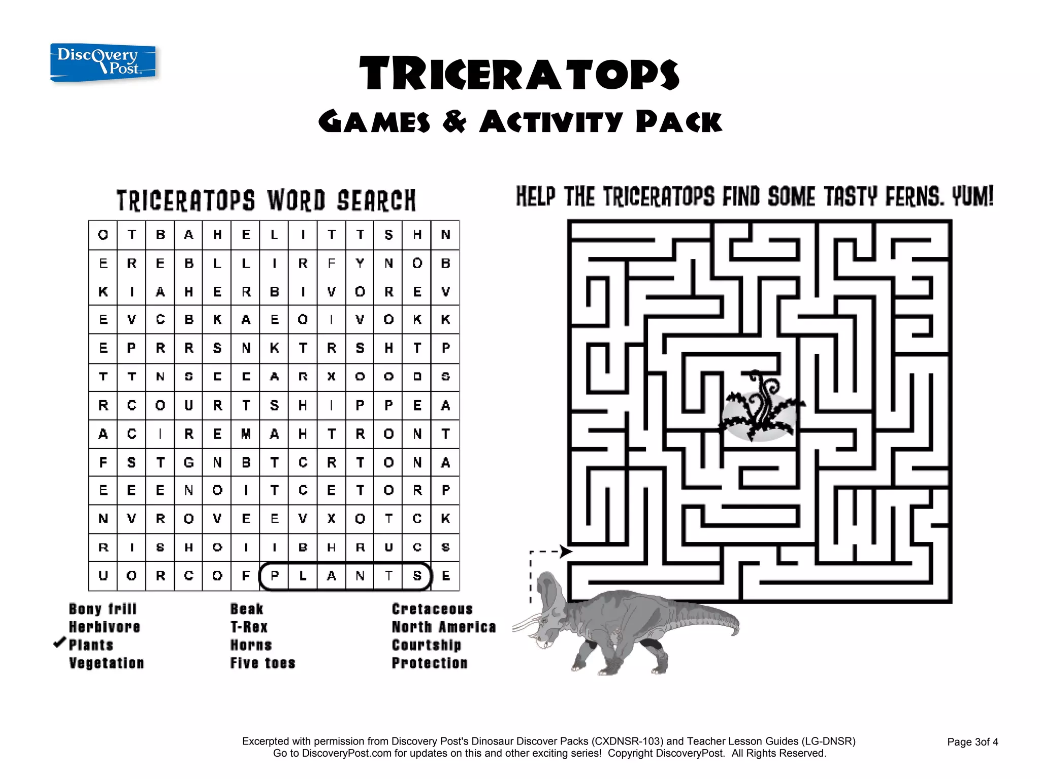 DNSR 103 Triceratops Activities | PDF