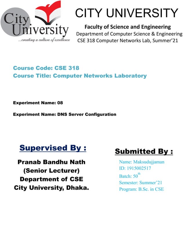 Dns Server Configuration With Cisco Packet Tracer Pdf Computer