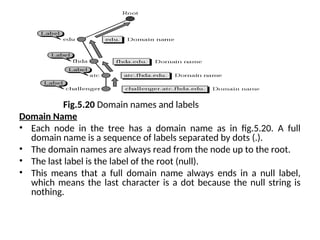 application layer protocols DNS,SNMP,web service.ppt