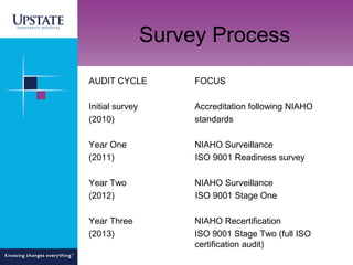 DNV ISO Process | PDF