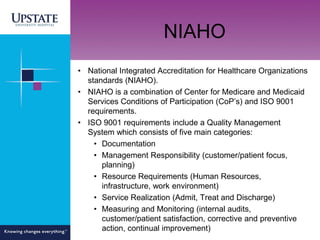 DNV ISO Process | PDF