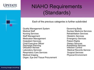 DNV ISO Process | PDF