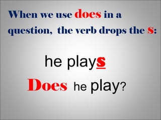 Do does examples. summary | PPT