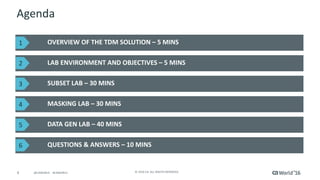 TDM: Masking, Subsetting and generating Synthetic Data | PDF