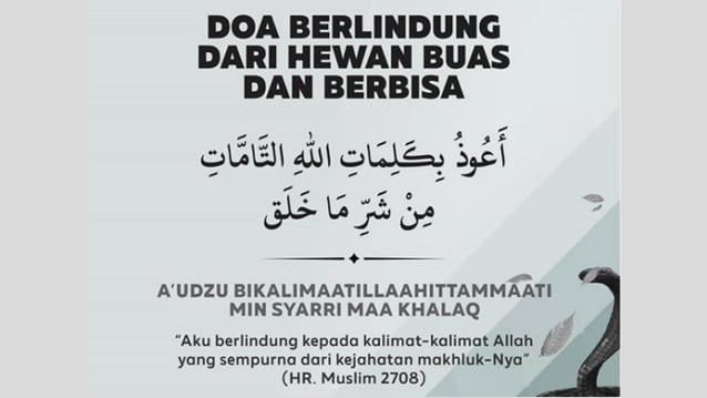 Doa doa shahih fiqh yufid | PDF