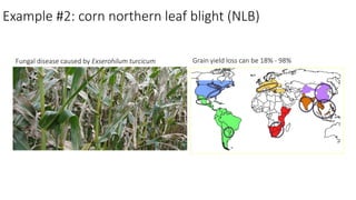 Targeted Breeding Applications of CRISPR-Cas | PPT