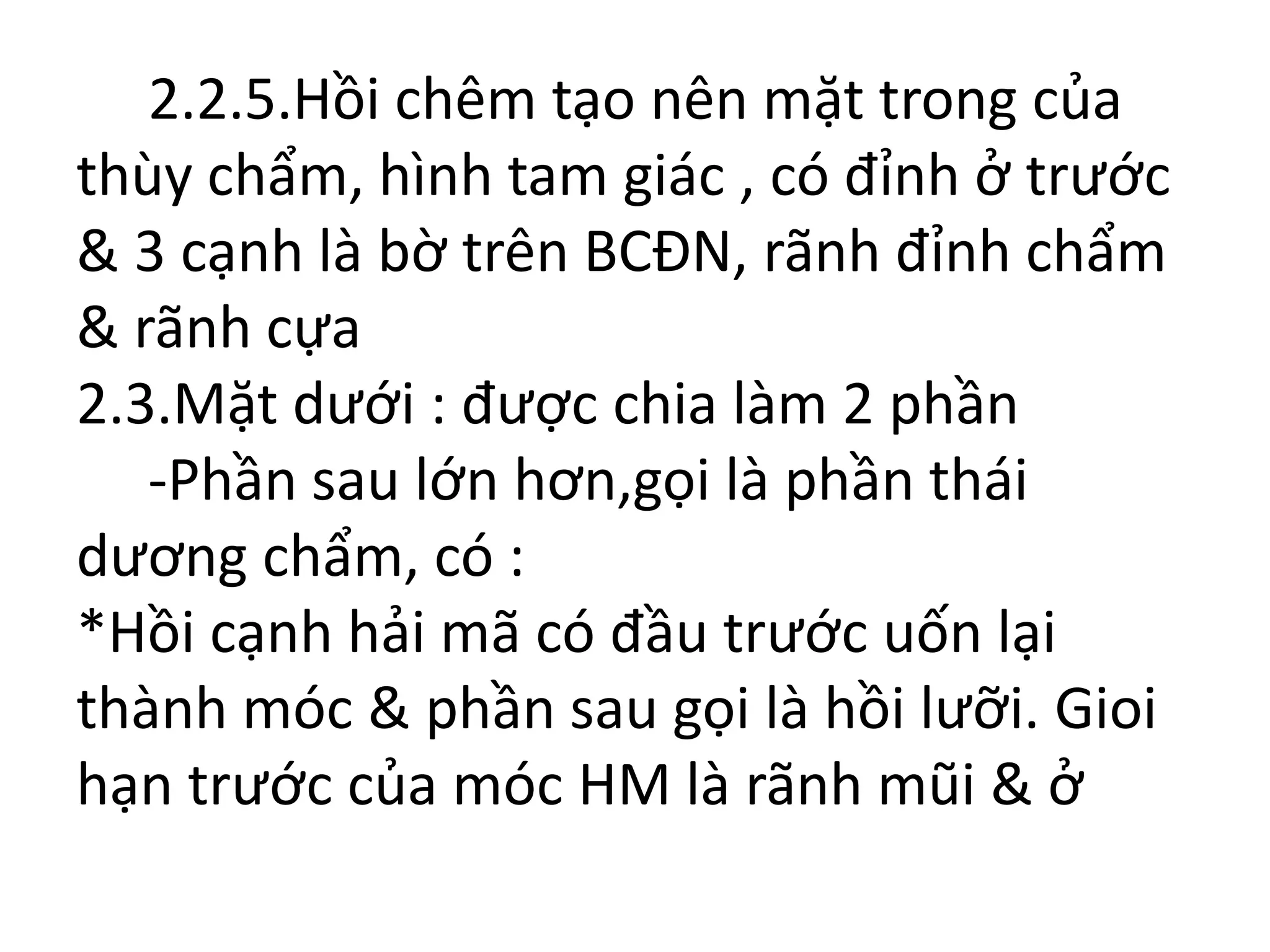 GIẢI PHẪU ĐOAN NÃO | PPTX