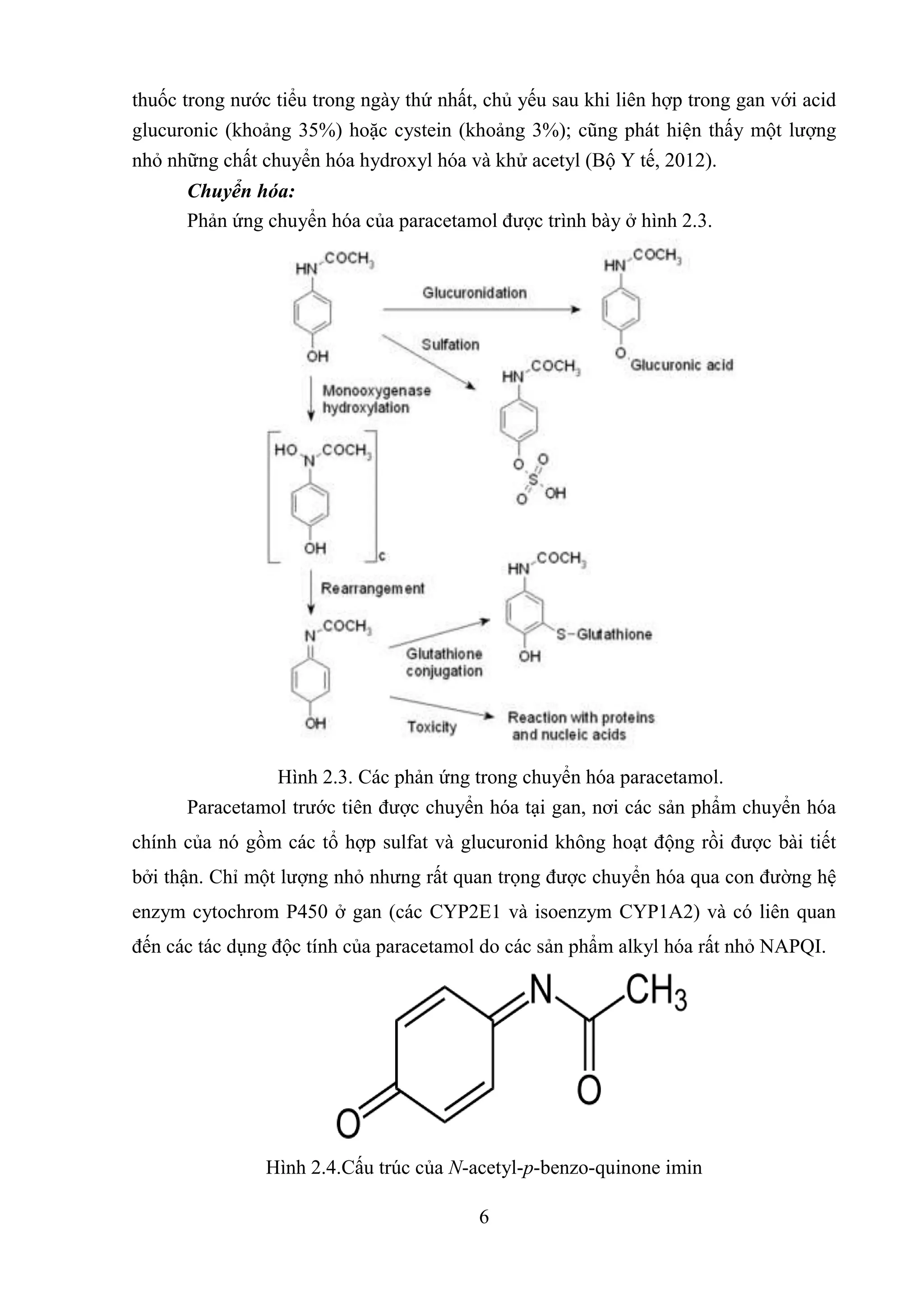 Quy trình định lượng Paracetamol 650mg phóng thích kéo dài, 9đ | PDF