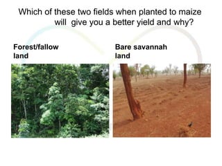 Climate Smart Agriculture in Ghana and Beyond Africa | PPTX
