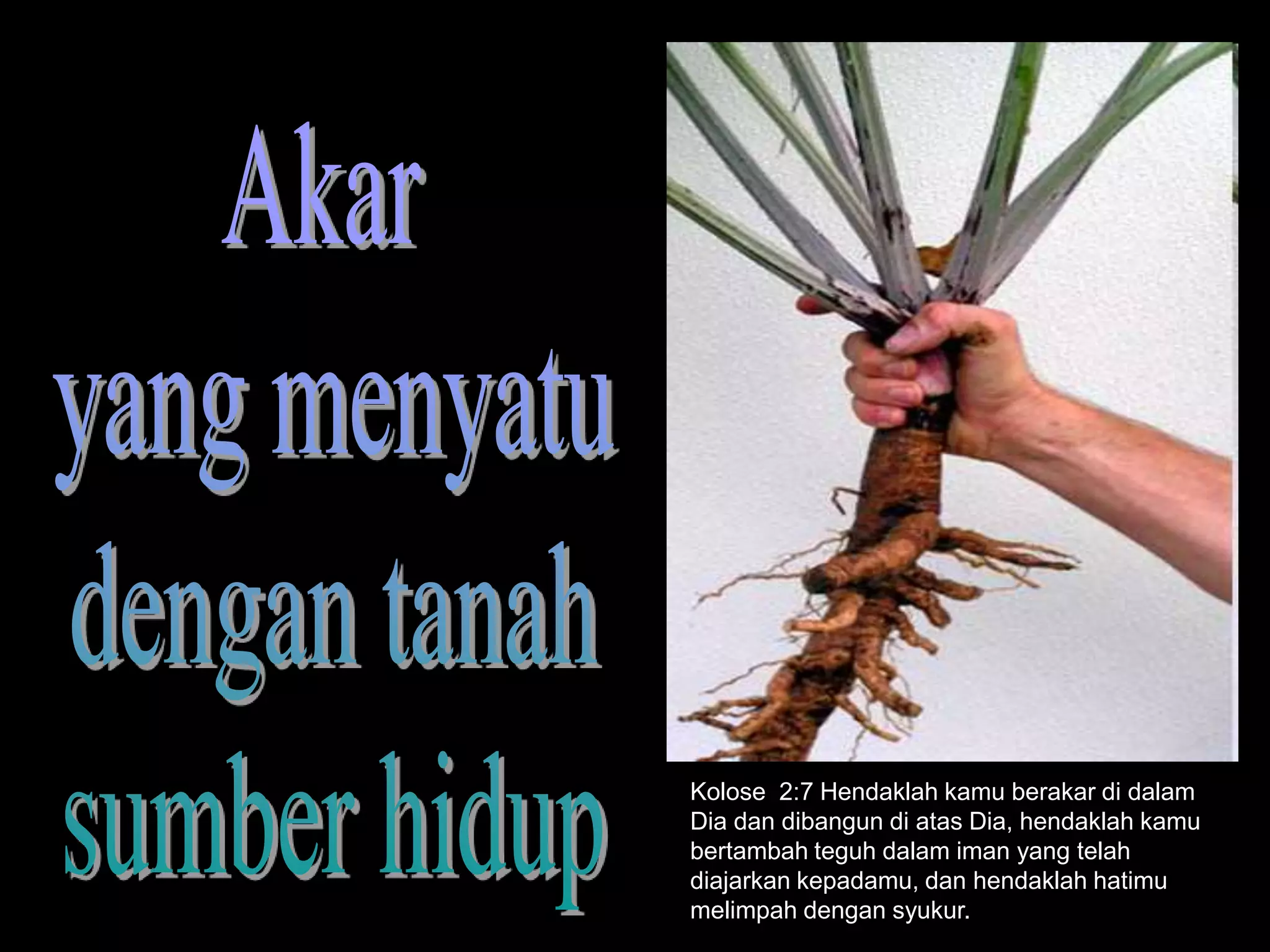 Doa & saat teduh | PPTX