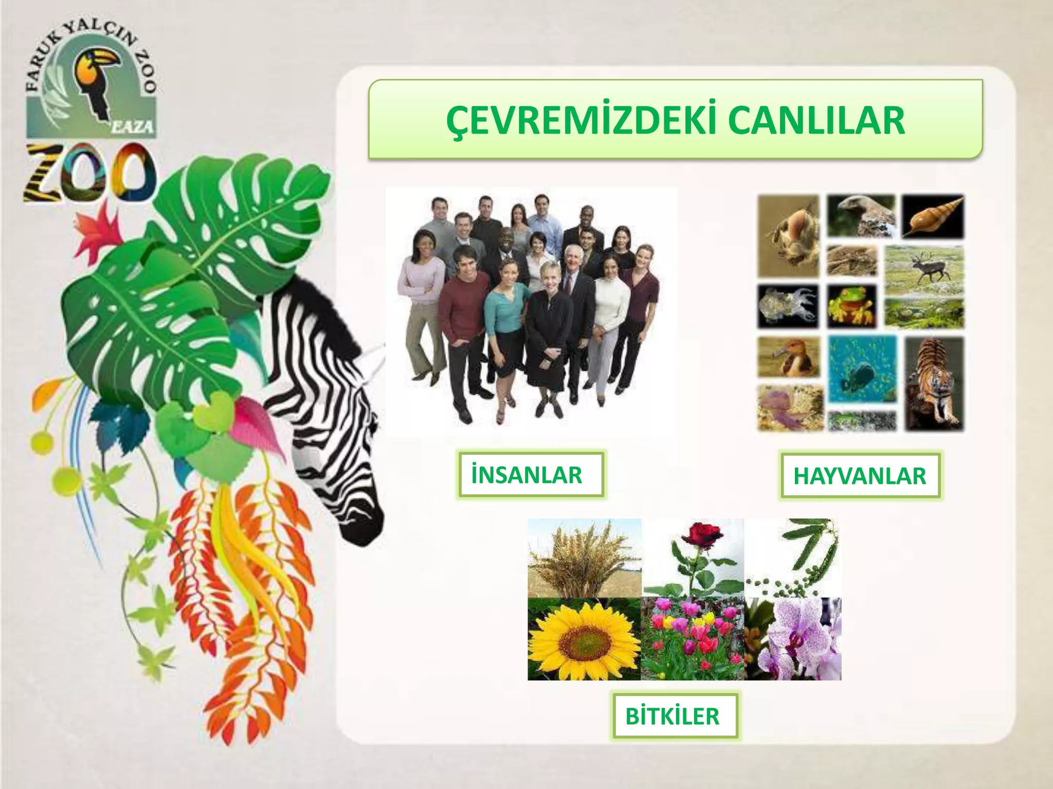 Doğa ve çevre koruma eğitim sunumu (okul öncesi ve 1. sınıflar) | PPTX