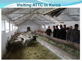 Hasi goat value chain and GI developing process - DOBI | PPT