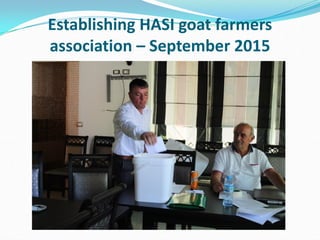 Hasi goat value chain and GI developing process - DOBI | PPT