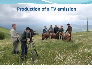 Hasi goat value chain and GI developing process - DOBI | PDF