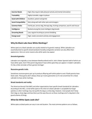 Do Black Labrador Retrievers have White Spots | PDF