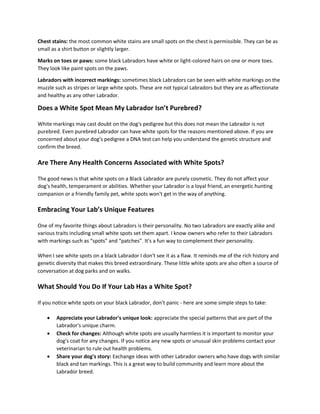 Do Black Labrador Retrievers have White Spots | PDF