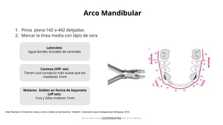 DOBLECES EN ORTODONCIA PRIMER SEGUNDO Y TERCER ORDEN | PPTX
