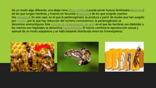 Reproduccion de los_insectos | PPTX