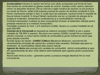 Dobrescu Fraguta energetica nucleară | PPT