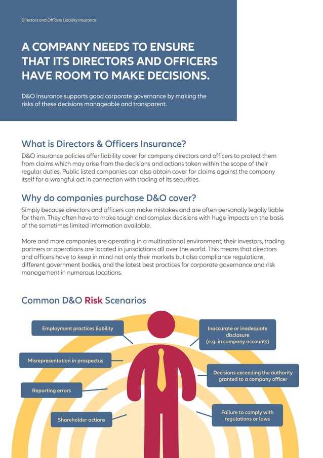 Directors & Officers Liabilities Insurance | PDF